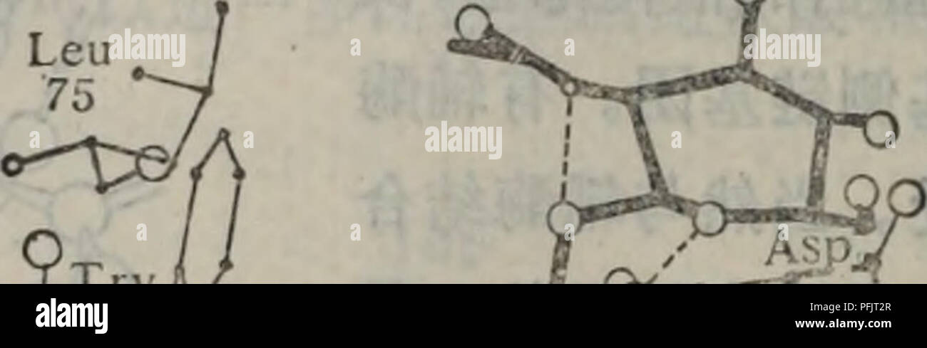 This botanical text provides an in-depth exploration of plant ...