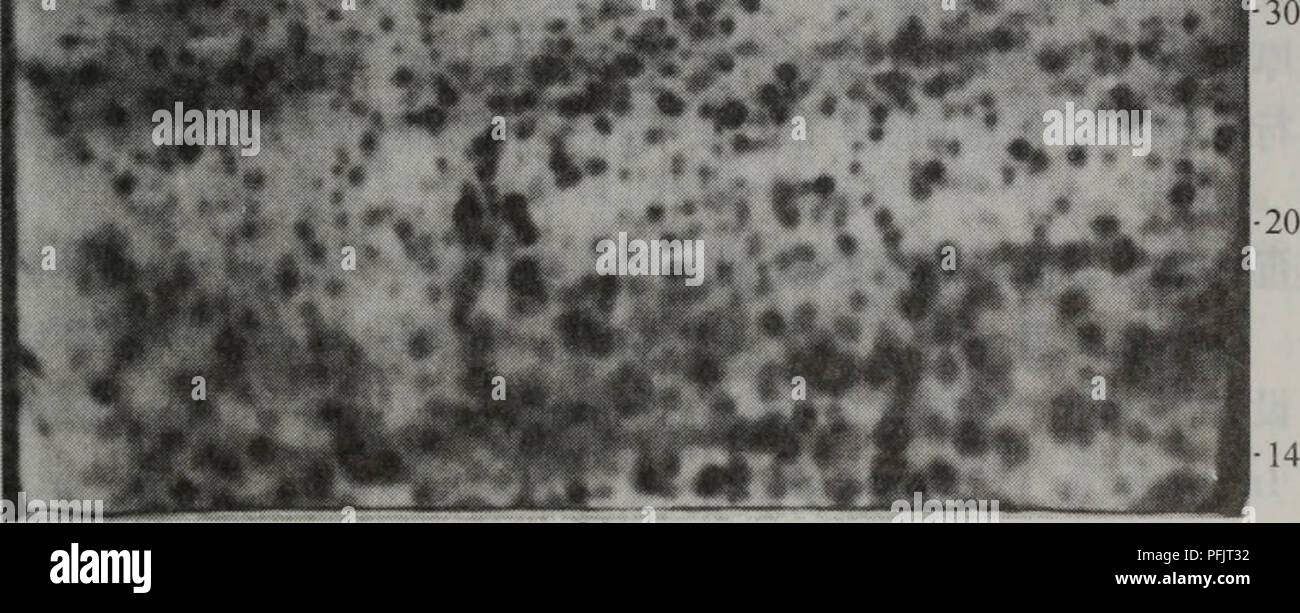 A botany study on a plant species, focusing on its functional ...