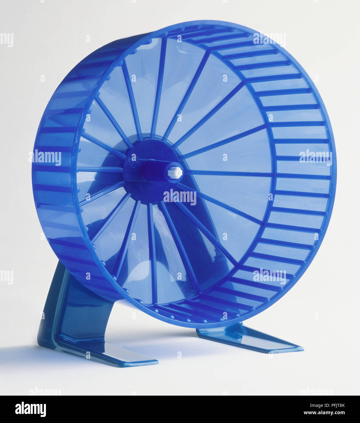 Hamster exercise wheel Stock Photo - Alamy