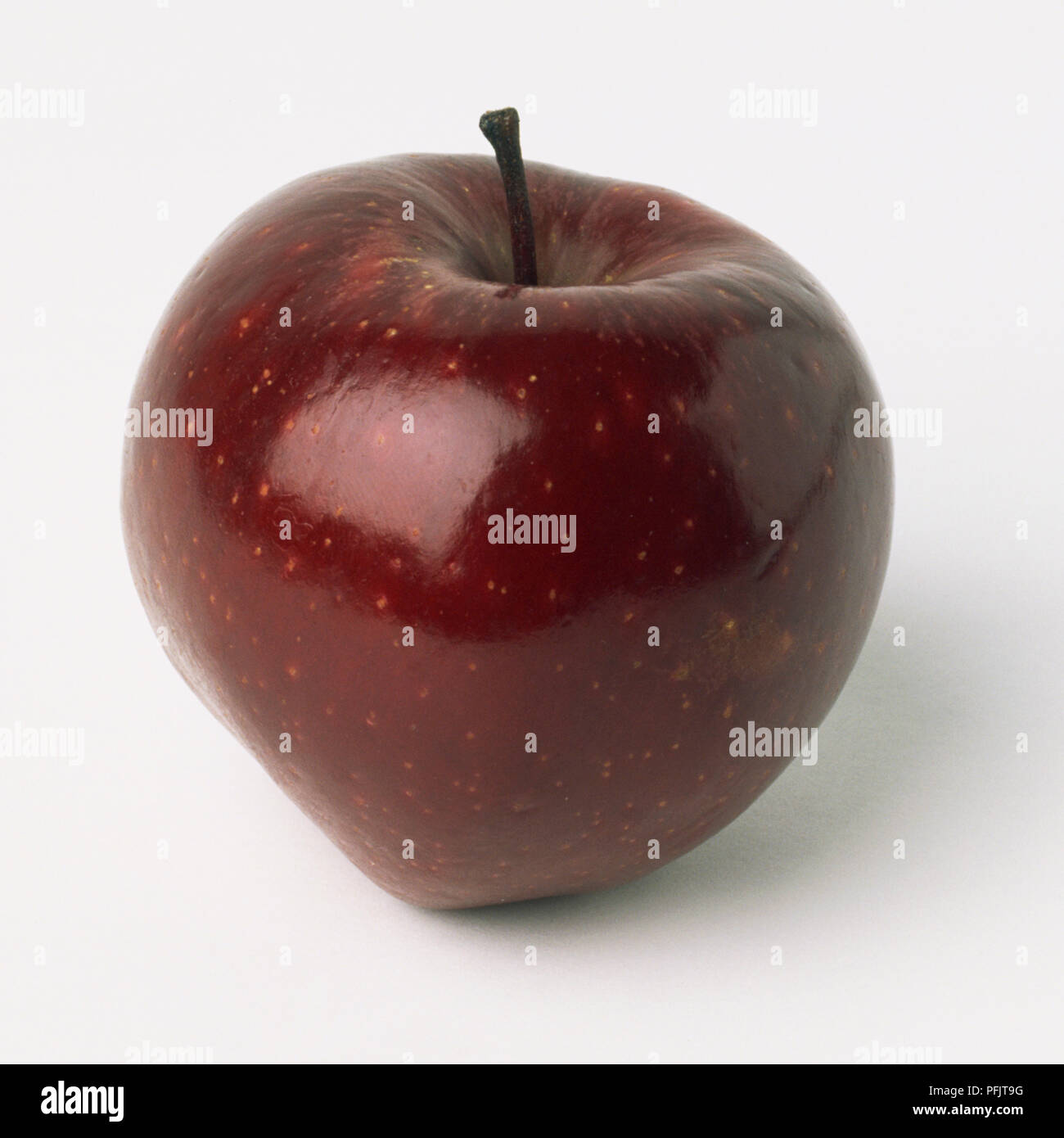 Dark coloration hi-res stock photography and images - Alamy