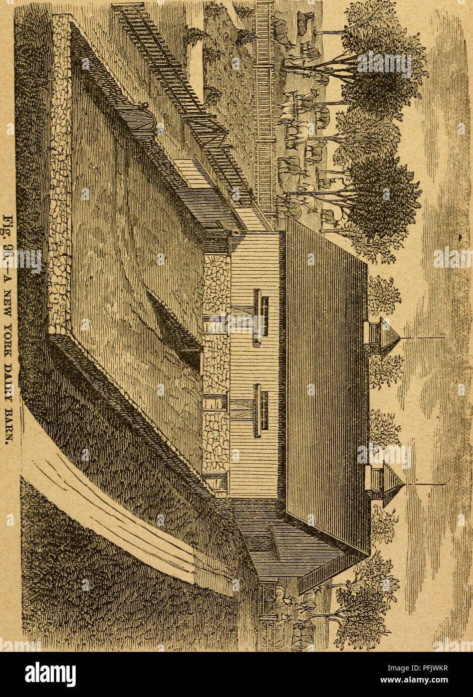 This image depicts a farm barn setup for dairy farming, as illustrated ...