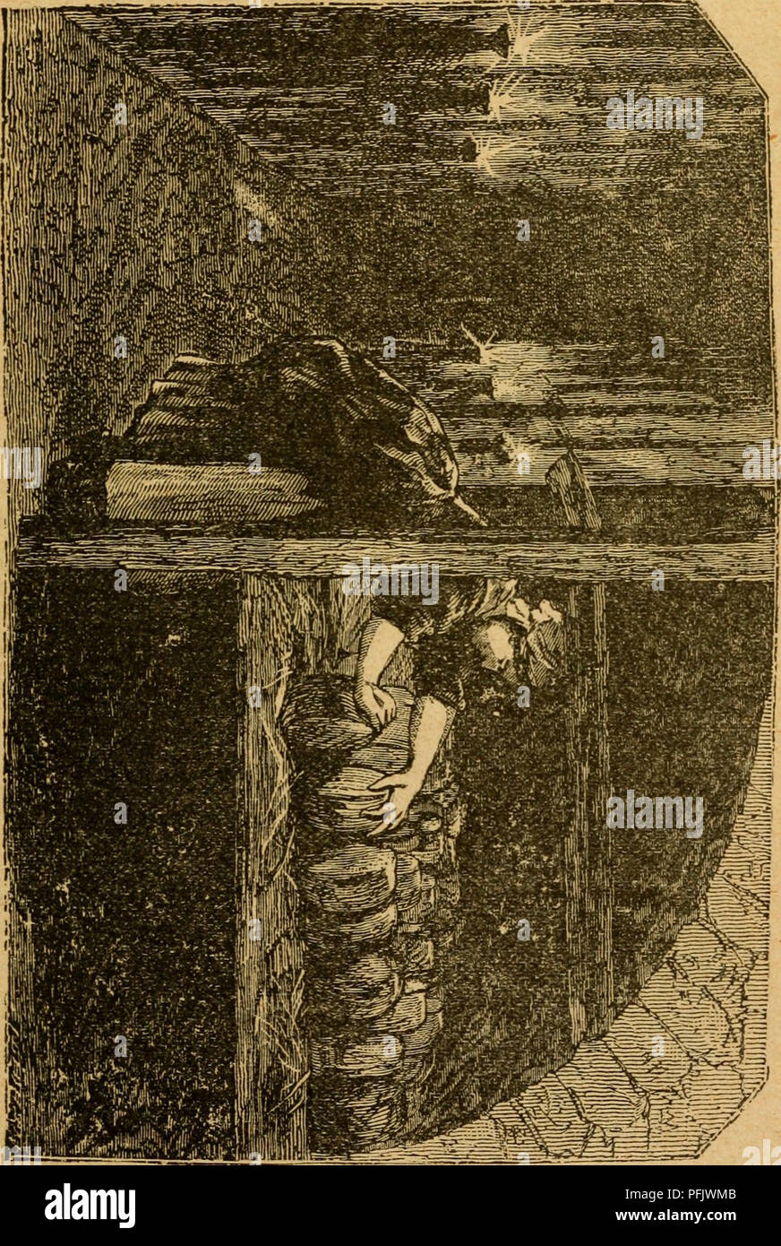 This manual provides practical guidance on dairying, including cheese ...