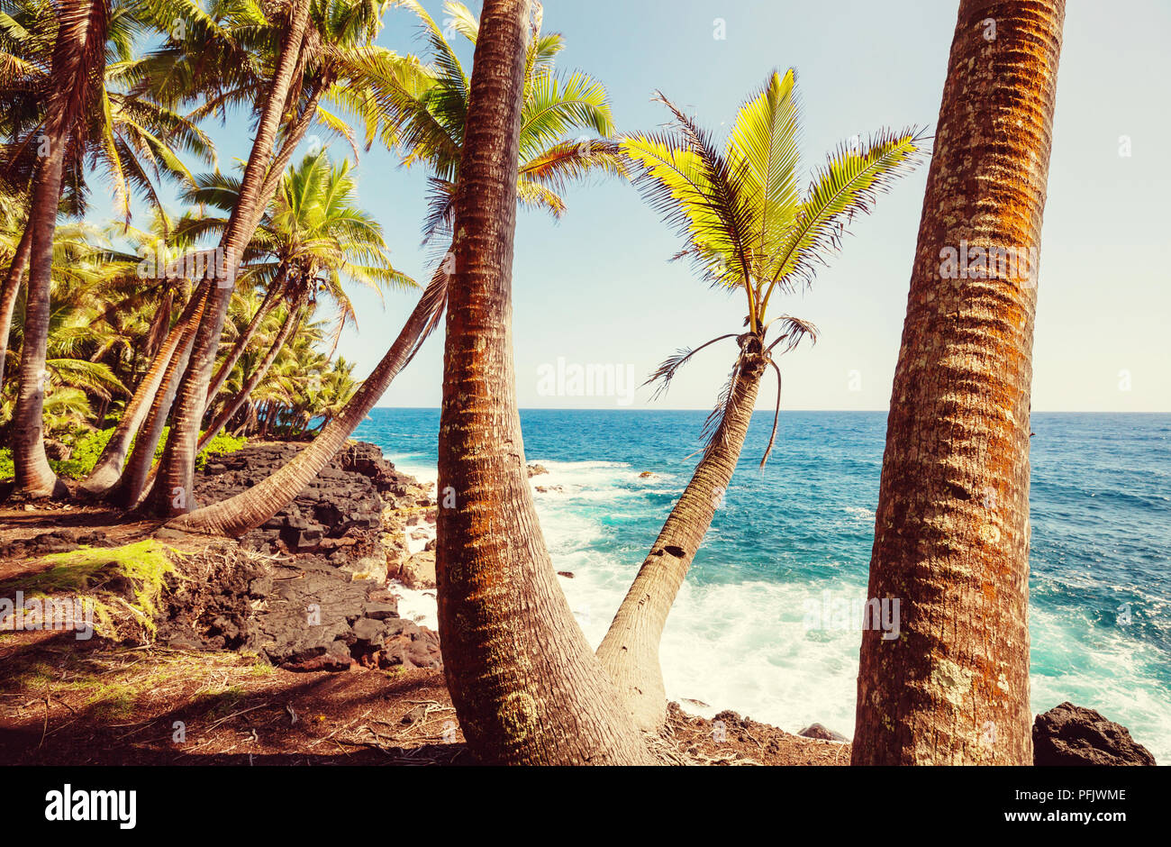 Amazing hawaiian beach Stock Photo - Alamy
