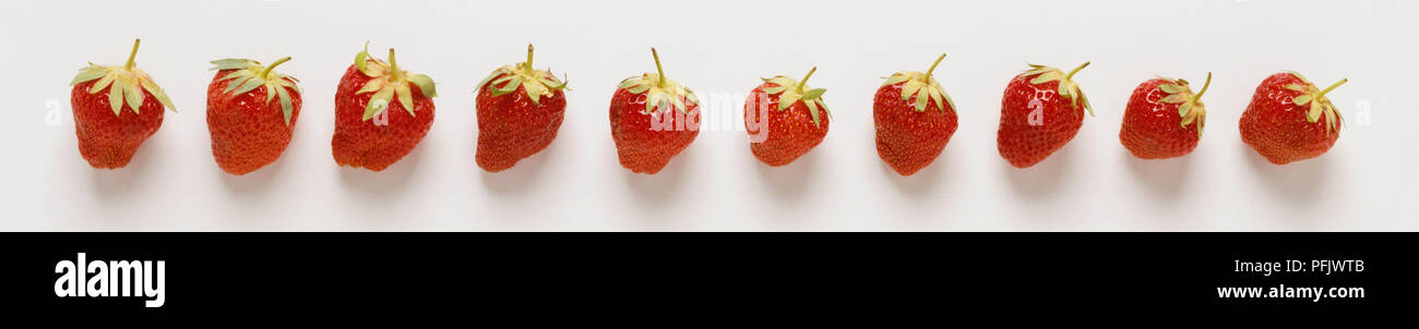 Ten strawberries arranged in a row Stock Photo - Alamy