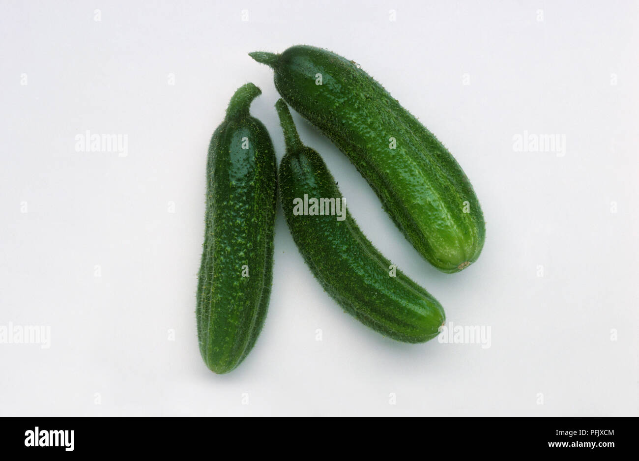 Three gherkins 'Hokus' Stock Photo - Alamy