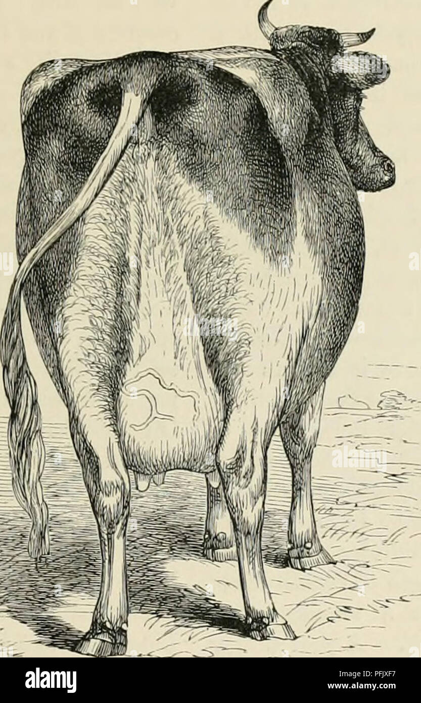 Small escutcheon hi-res stock photography and images - Alamy