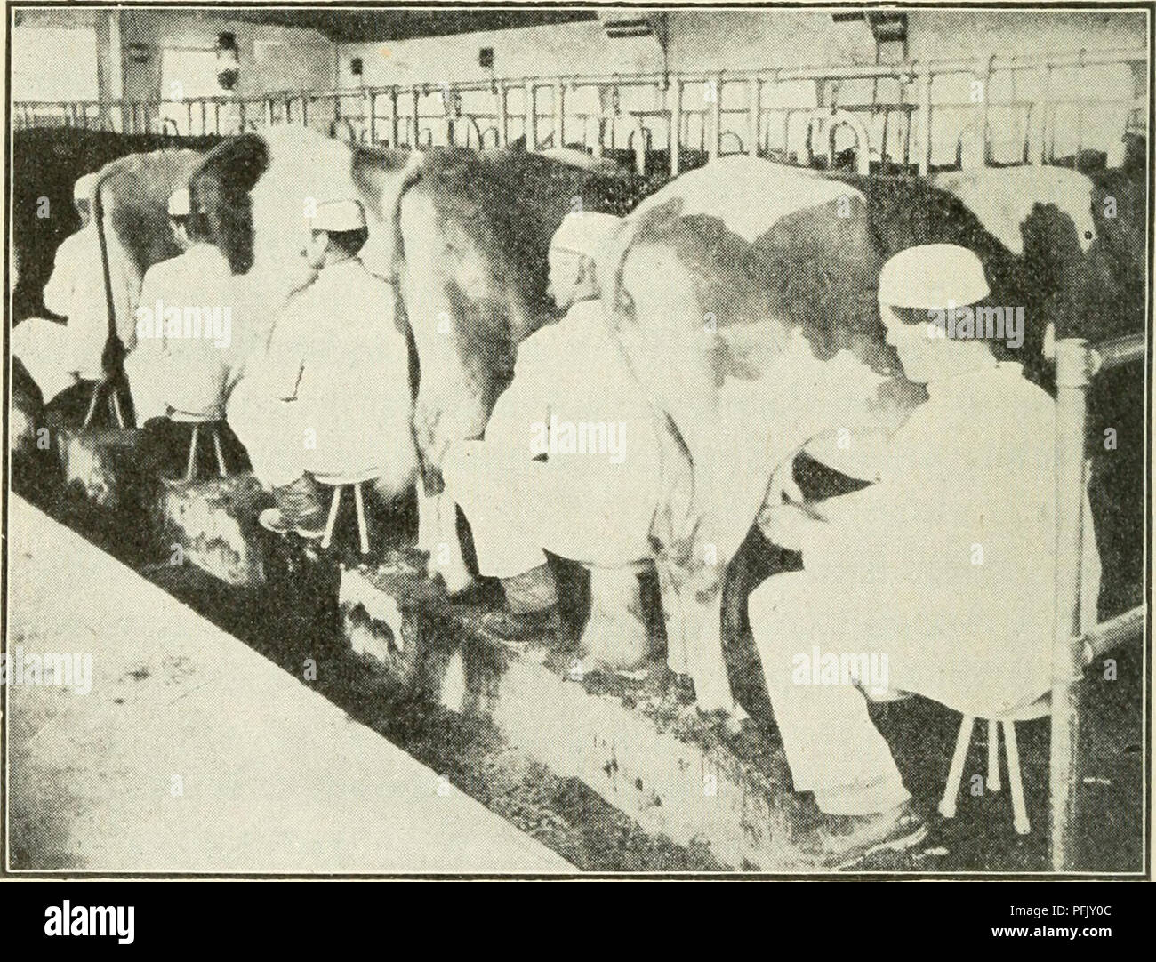 This publication covers key aspects of dairy farming, including milk ...