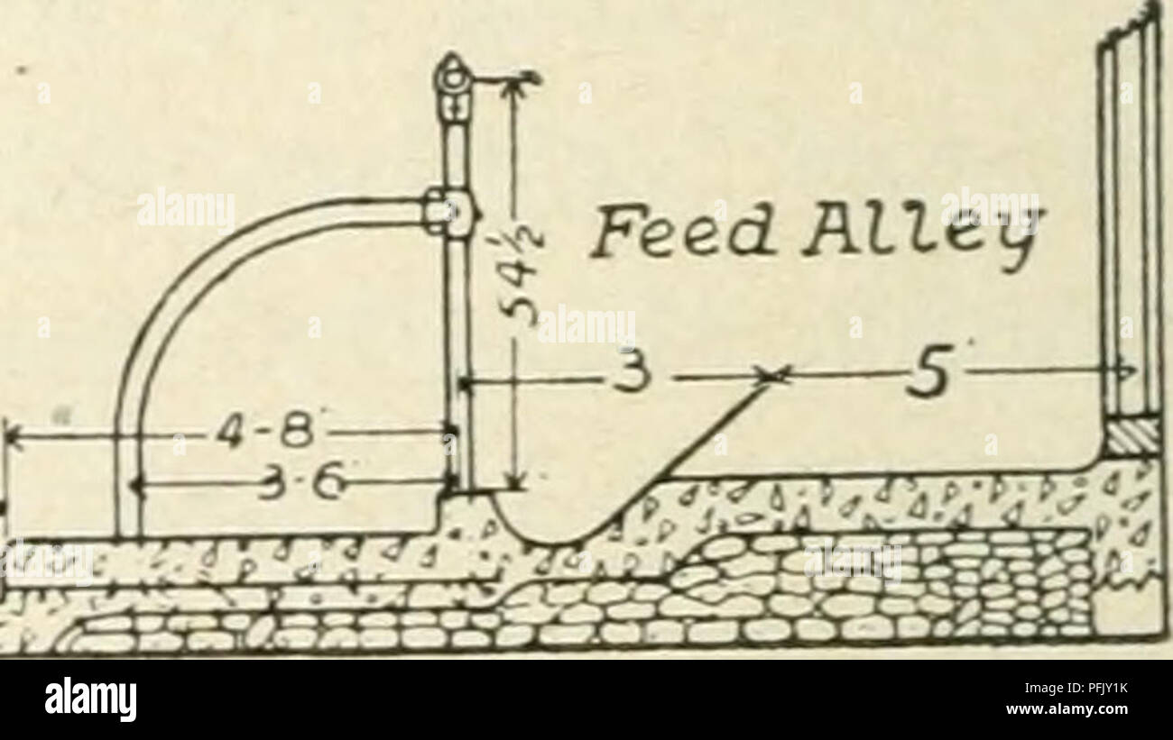 This agricultural document provides insights into dairy farming ...