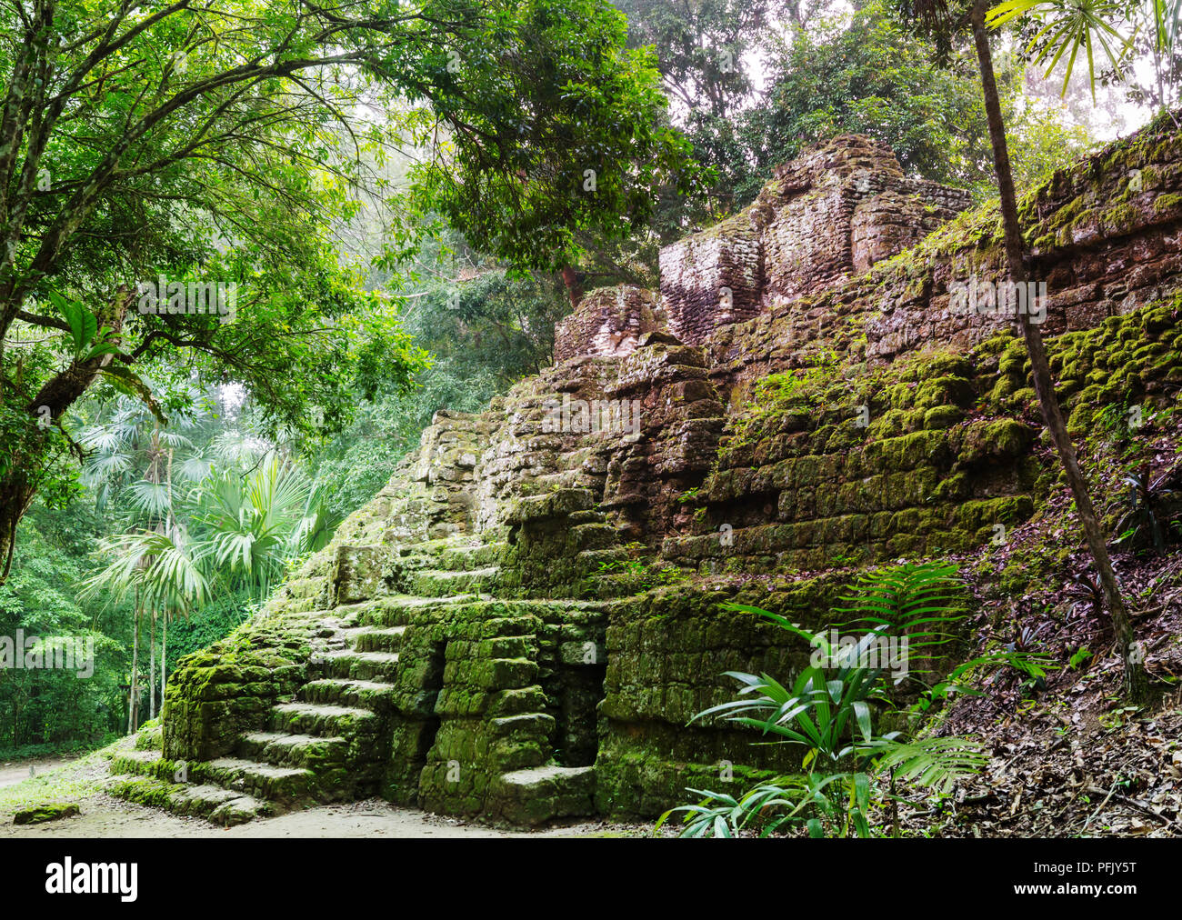 Famous ancient Mayan temples in Tikal National Park, Guatemala, Central ...