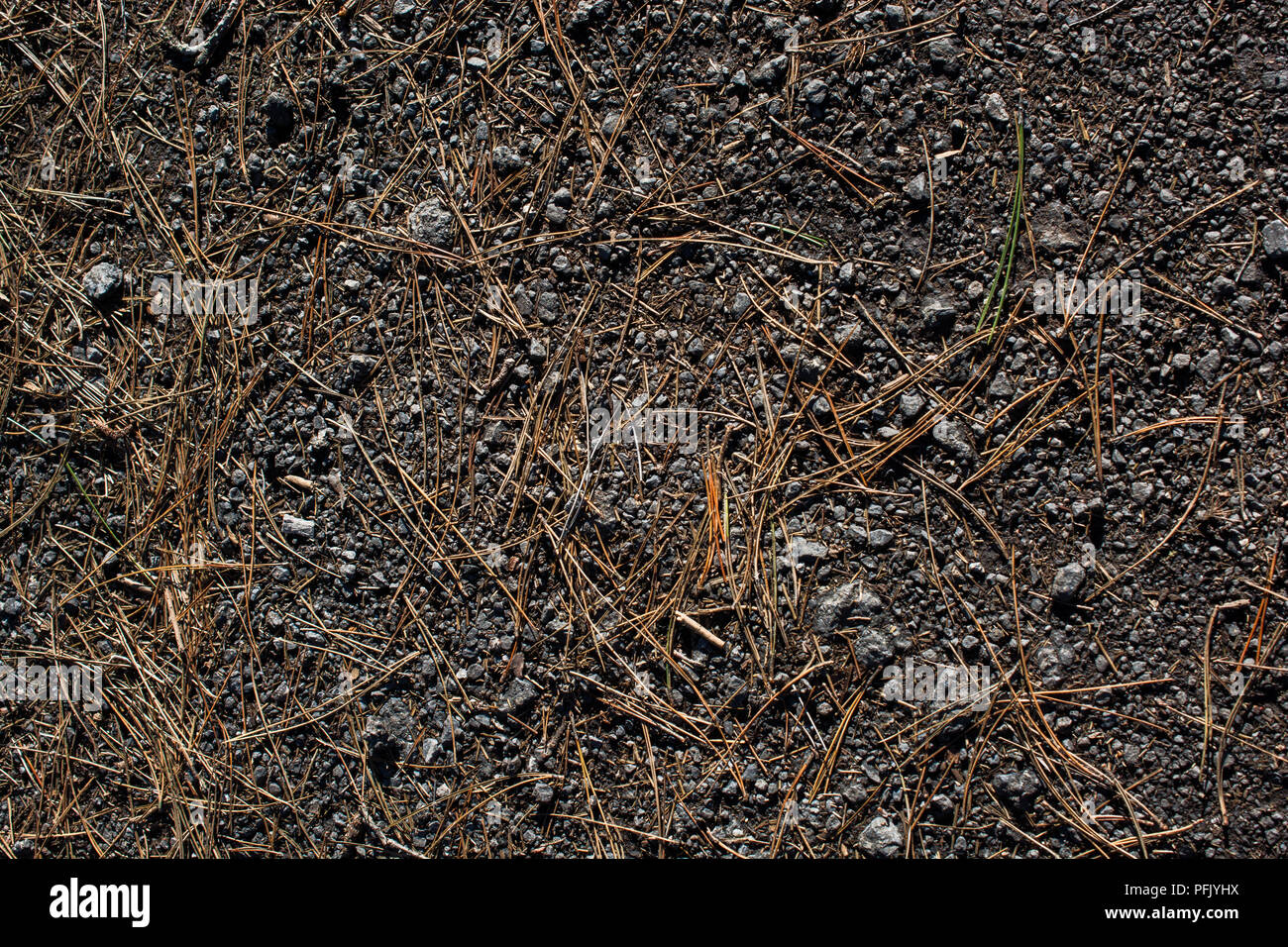 Texture background of autumn season with leaves Stock Photo - Alamy