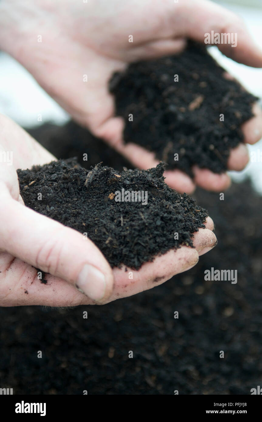 Compost hands uk hi-res stock photography and images - Alamy