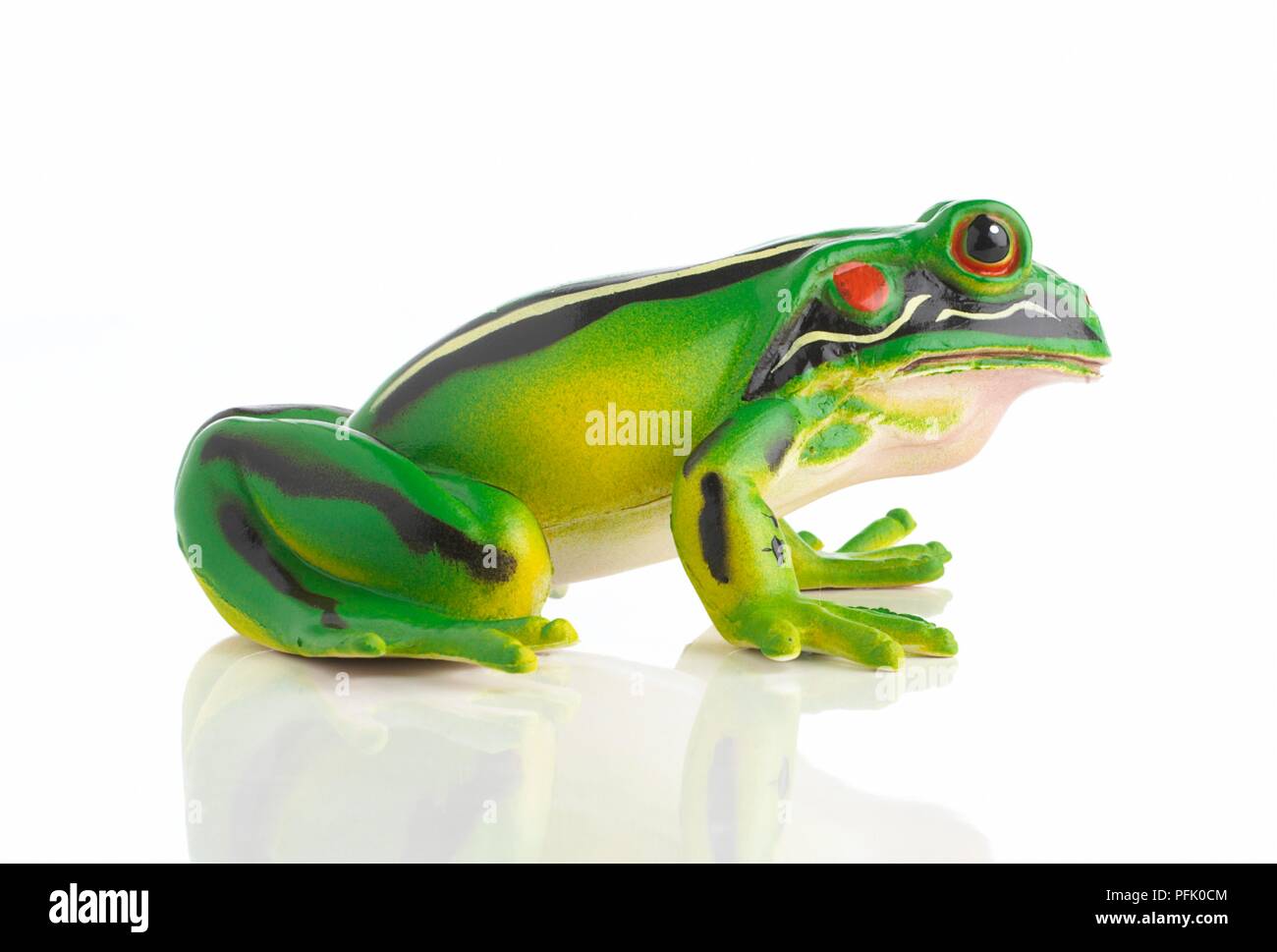 Model of a frog, side view Stock Photo - Alamy