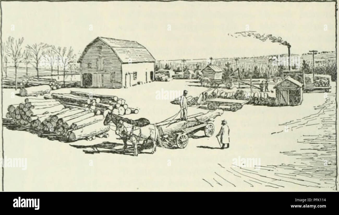 A comprehensive guide to farming in North America, detailing methods ...