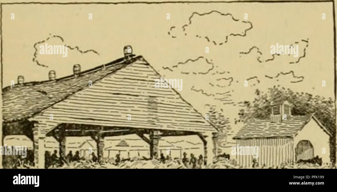 . Cyclopedia of farm crops. Farm produce; Agriculture. SUGAR-CANE SUGAR ...