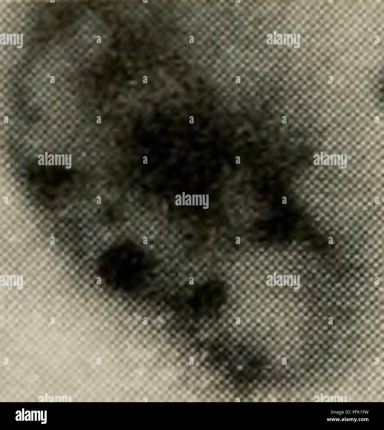 Cytochemistry hi-res stock photography and images - Alamy