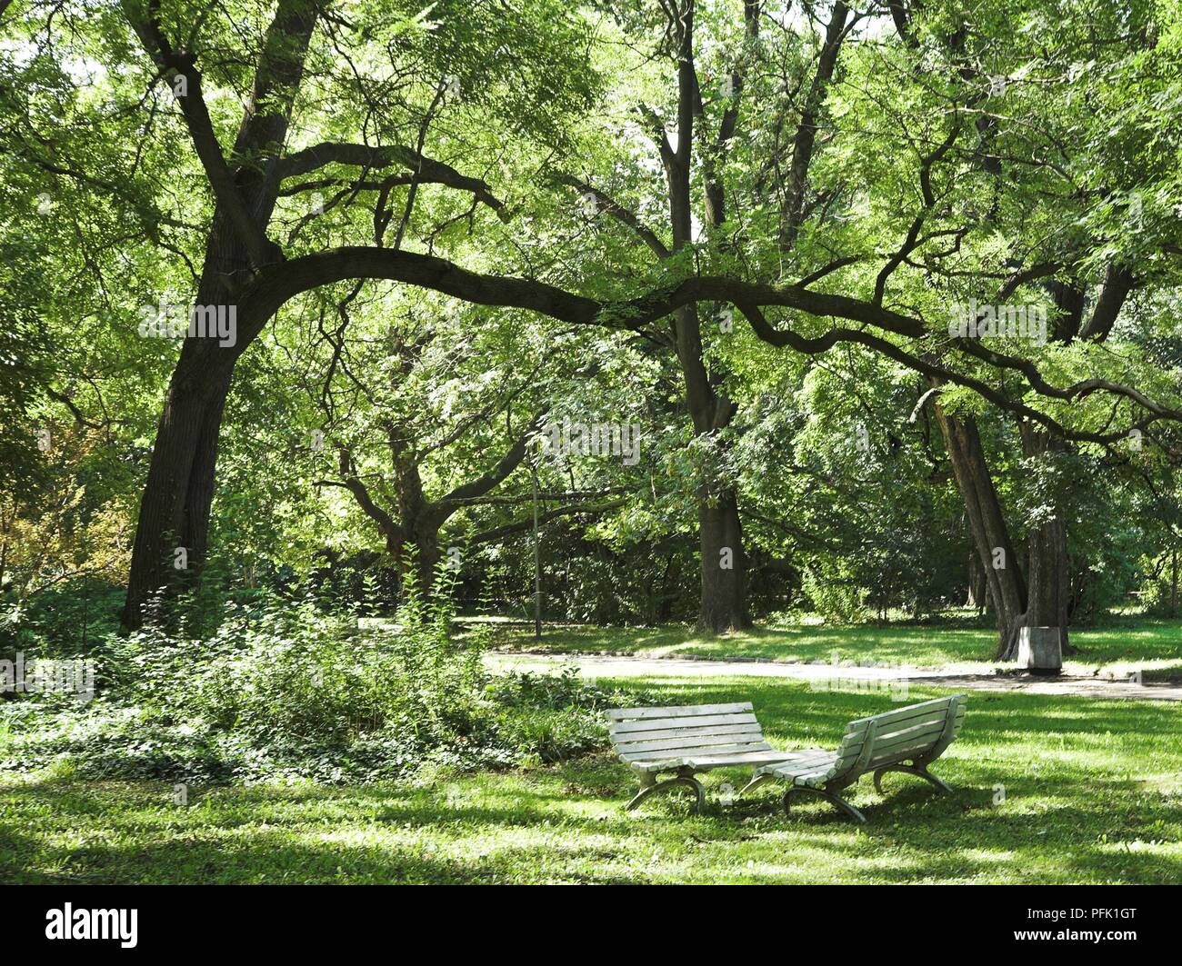 Bulgaria, Sofia, Borisova Gradina, park benches under shade of tree ...