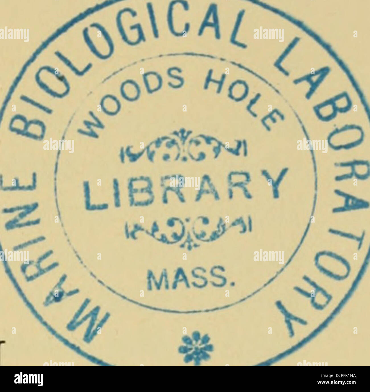 Vigorous attempt hi-res stock photography and images - Alamy