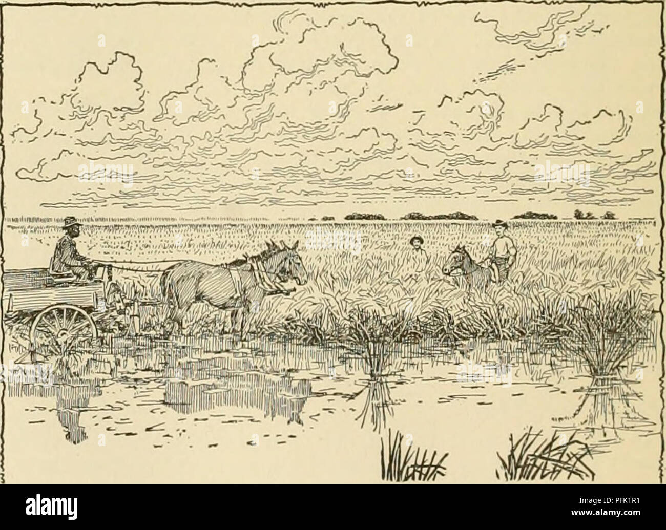 Sandy subsoil hi-res stock photography and images - Alamy