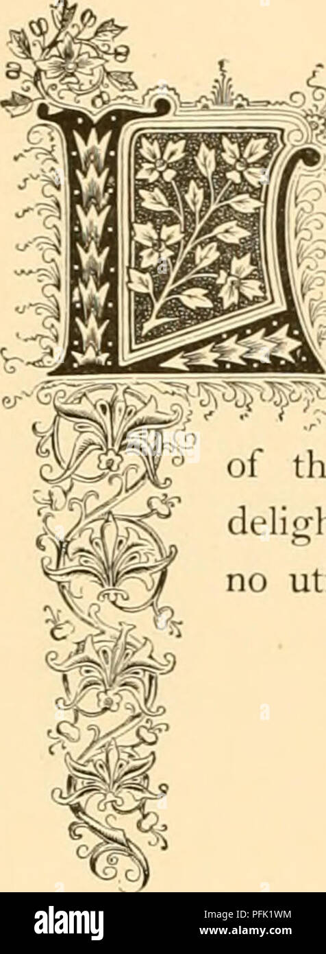 Rutacea family hi-res stock photography and images - Alamy