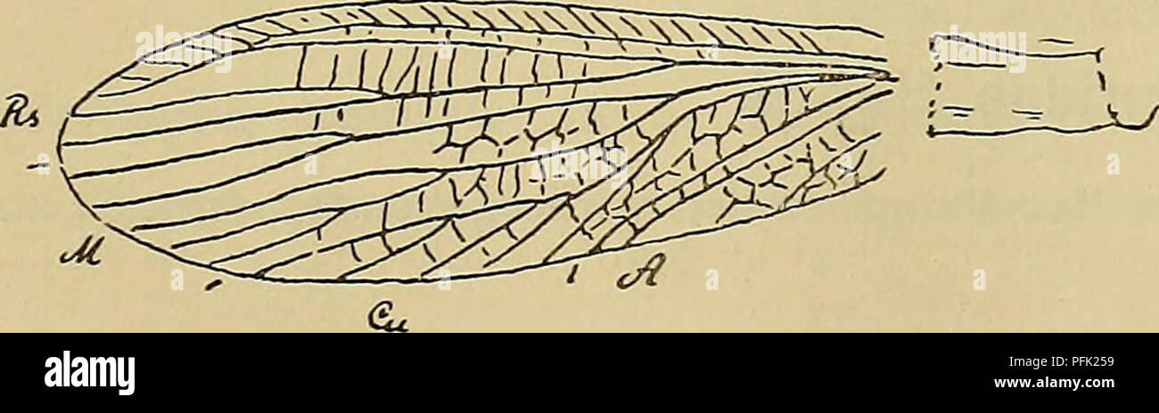 This work by the Austrian Academy of Sciences provides a revision of ...