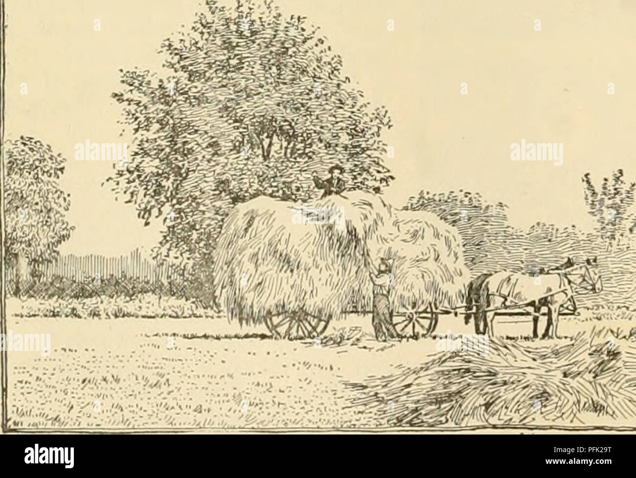 A comprehensive reference on various farm crops, focusing on ...