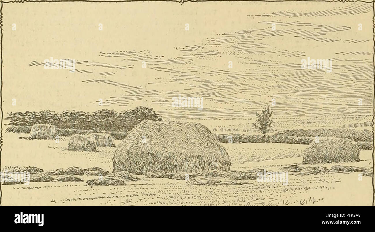 This comprehensive guide to farm crops includes details on maple sugar ...