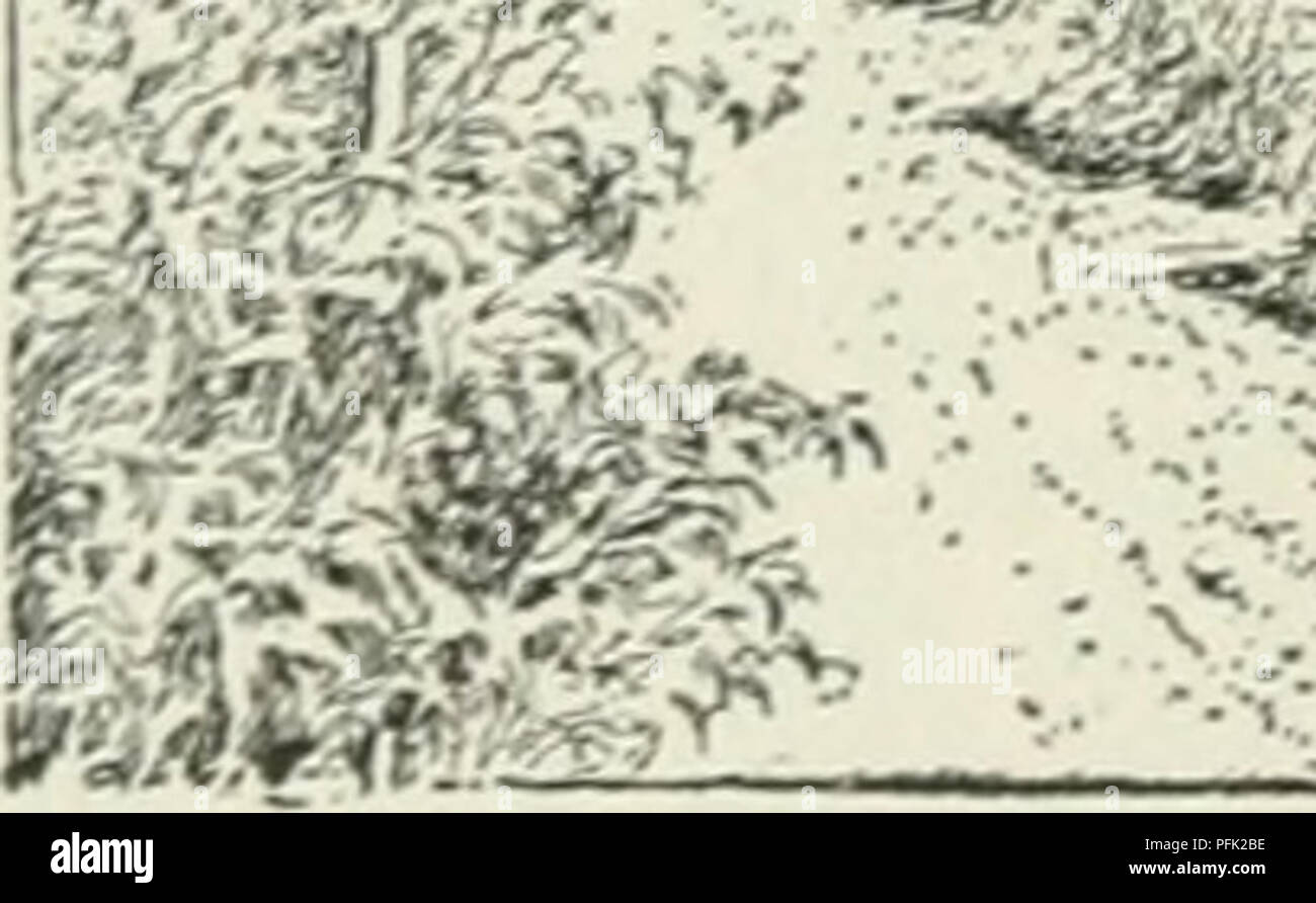 This *Cyclopedia of Farm Crops* offers a comprehensive overview of crop cultivation methods in ...