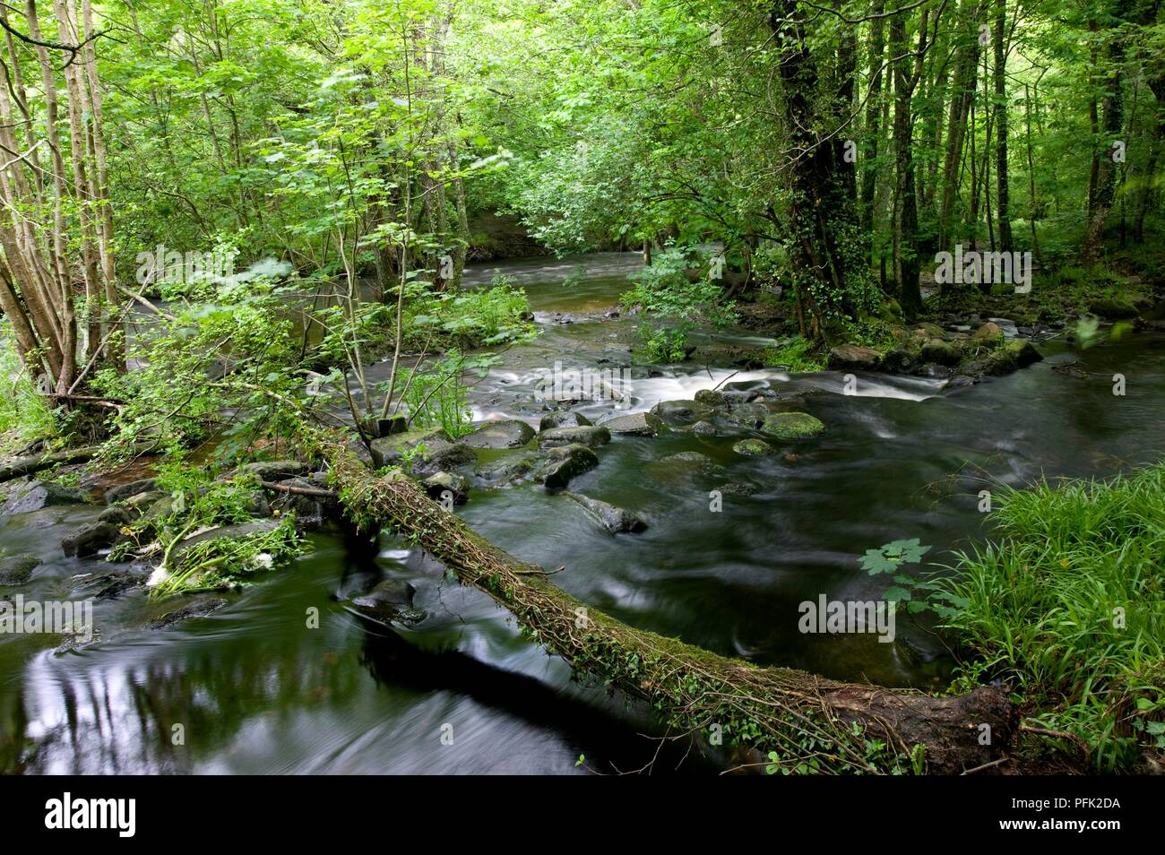 Drewsteignton hi-res stock photography and images - Alamy