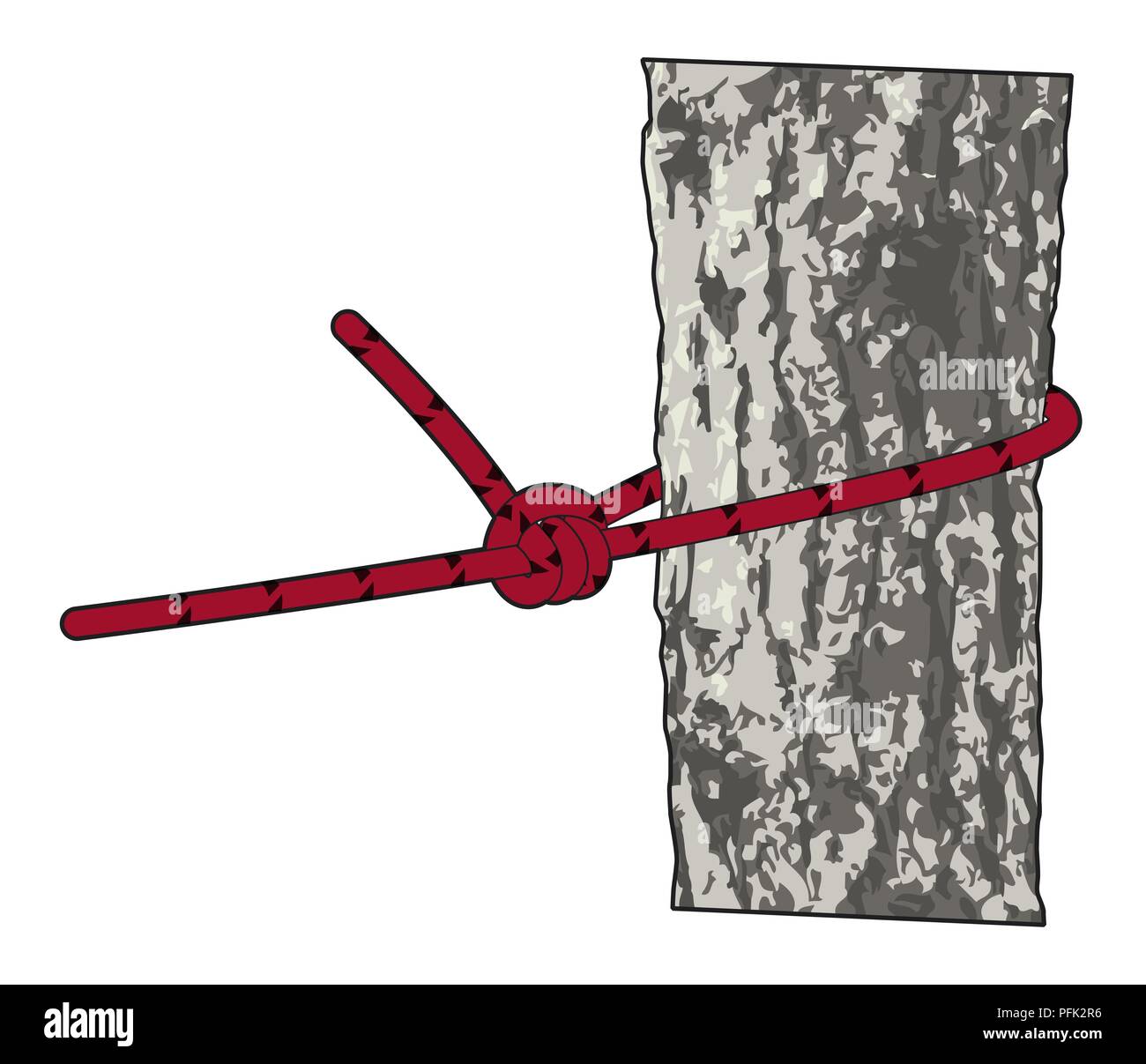 Digital illustration of taut line hitch knot tied around a tree trunk ...