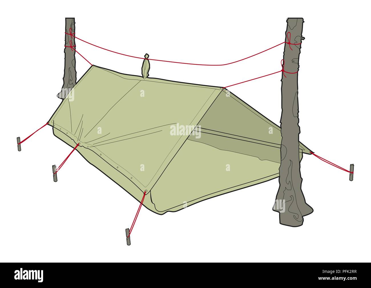 Digital illustration of tent attached to two tree trunks with rope and ...