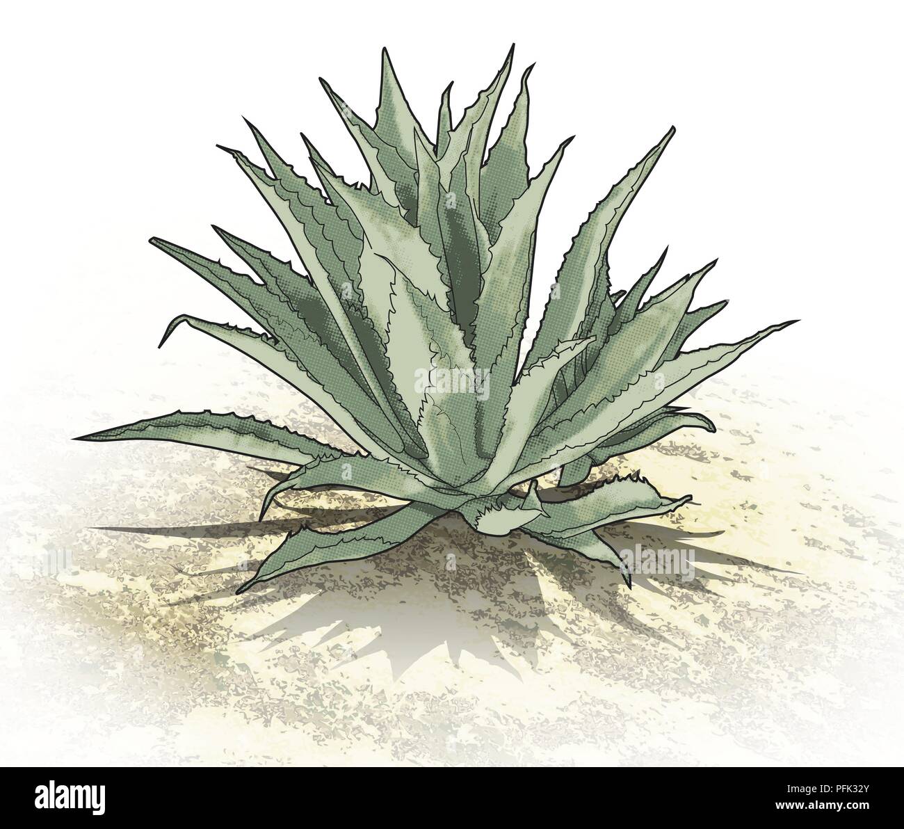 Agave technique hi-res stock photography and images - Alamy
