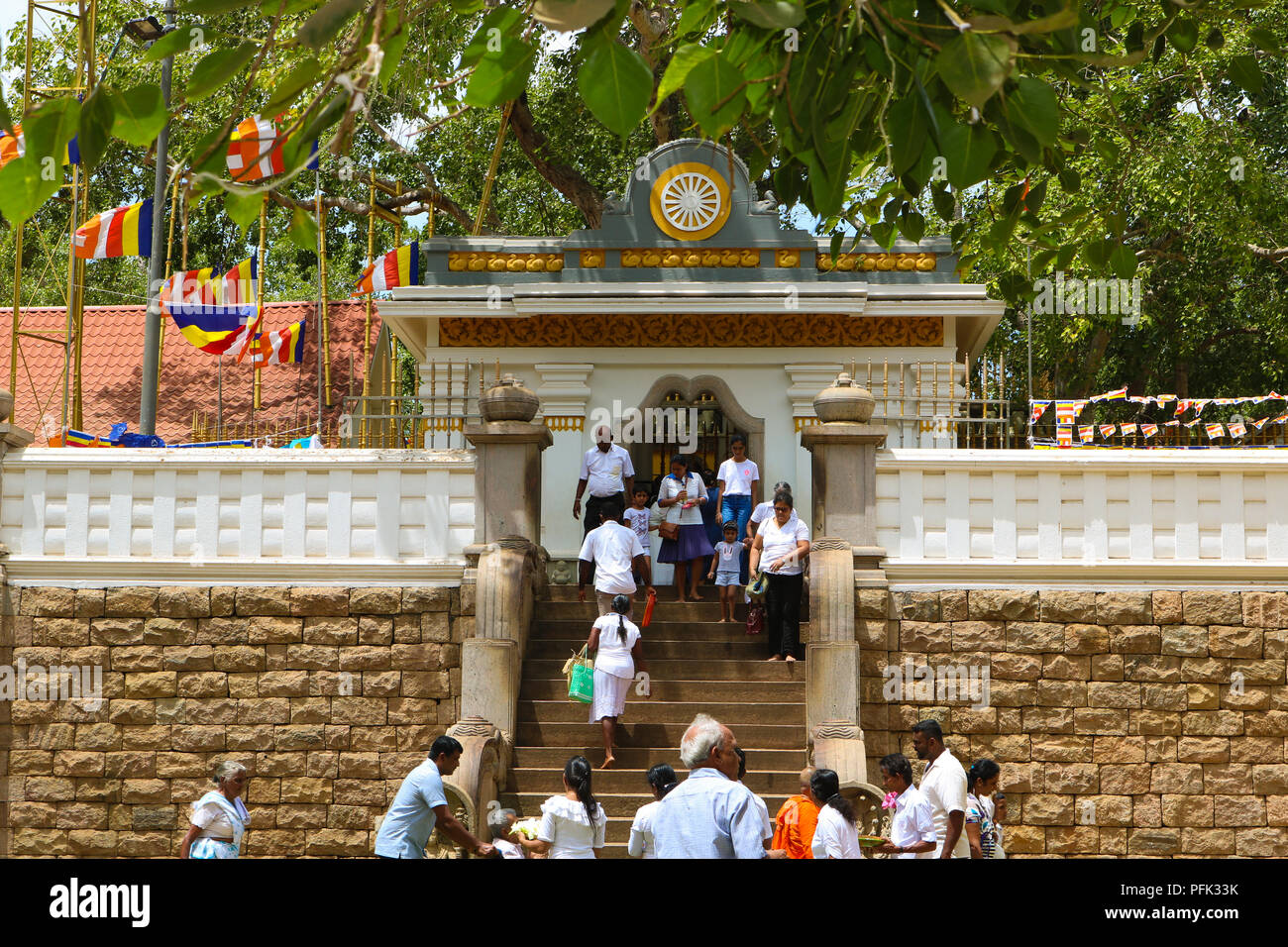 Jaya sri maha bodhi hi-res stock photography and images - Alamy