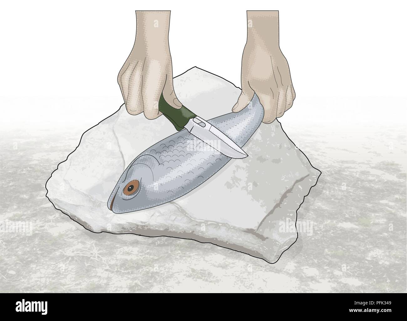Digital illustration of scraping scales off fish using knife Stock ...