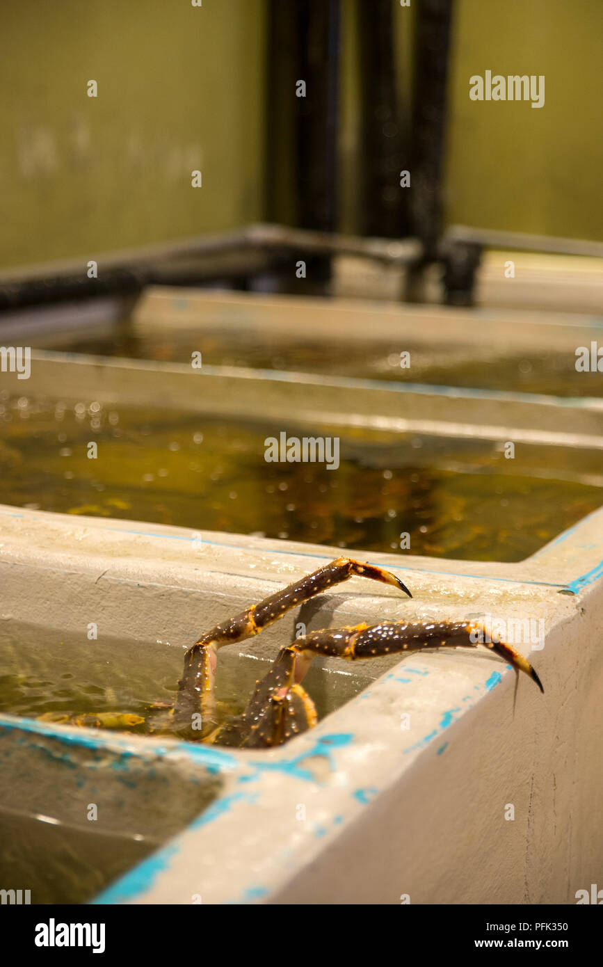 Addiction Aquatic Development, Taipei fish market, Zhongshan District ...