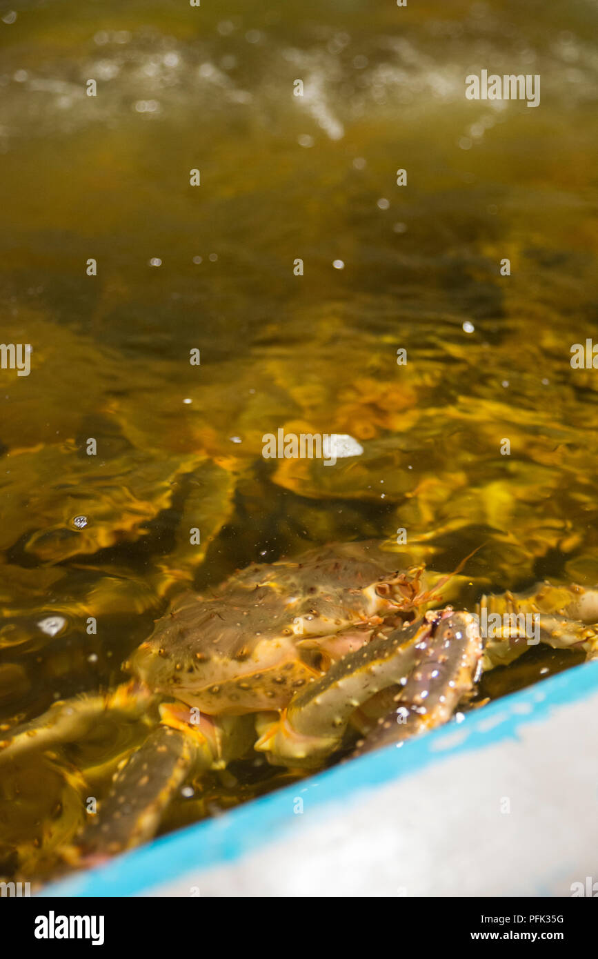 Addiction Aquatic Development, Taipei fish market, Zhongshan District ...