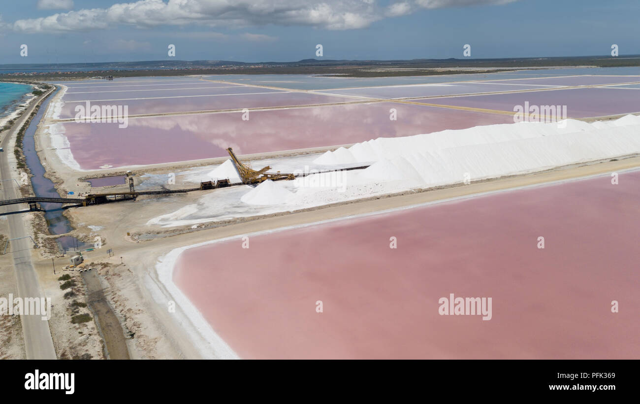 rose caribbean salt lake Bonaire island aerial drone top view Stock ...