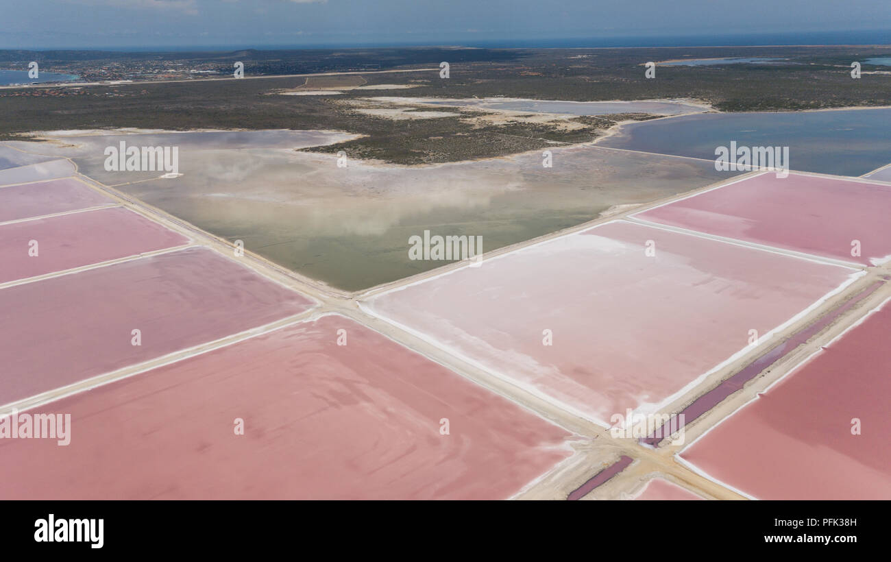 rose caribbean salt lake Bonaire island aerial drone top view Stock ...