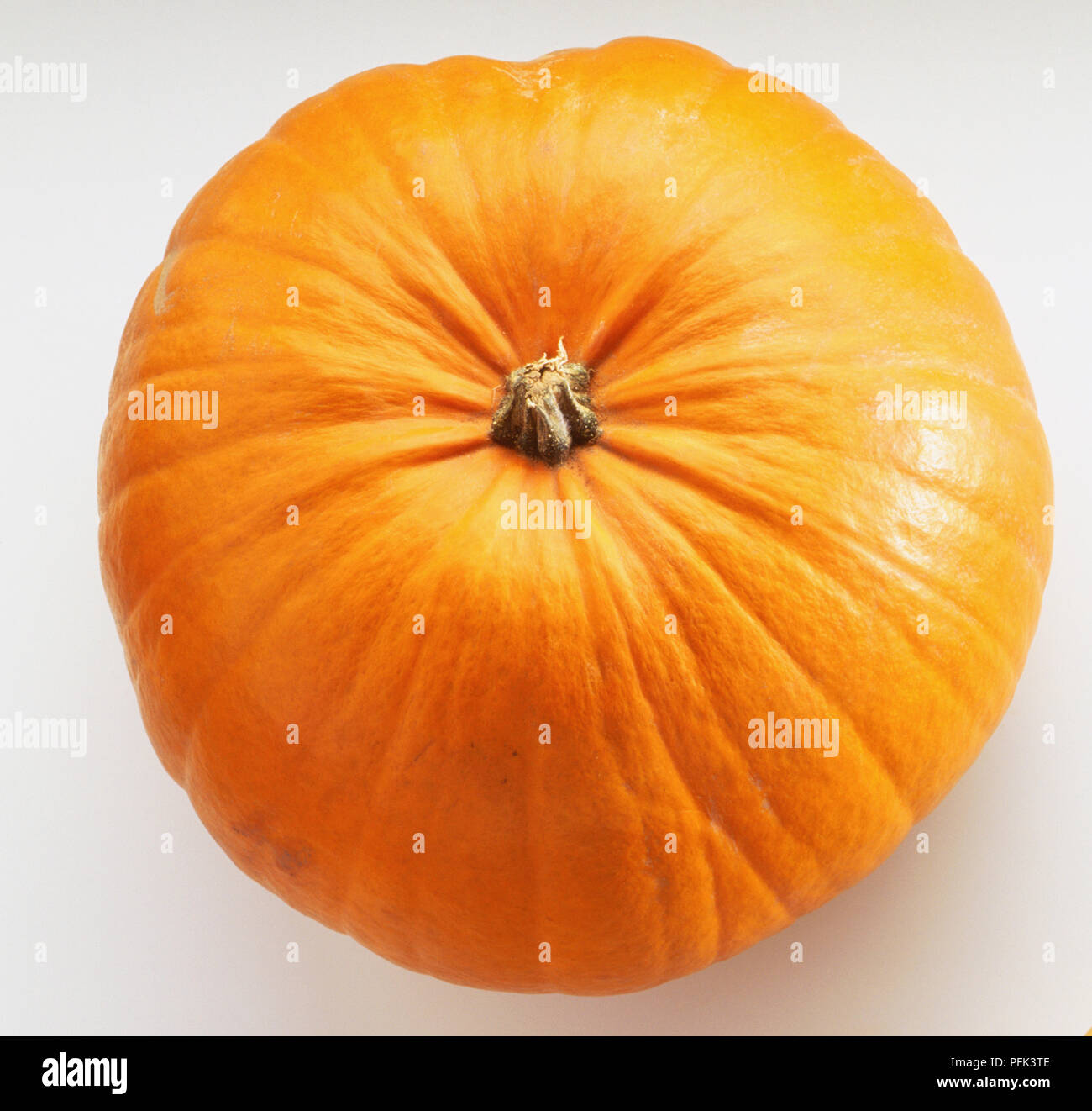 Cucurbita pepo, Pumpkin, view from above Stock Photo - Alamy