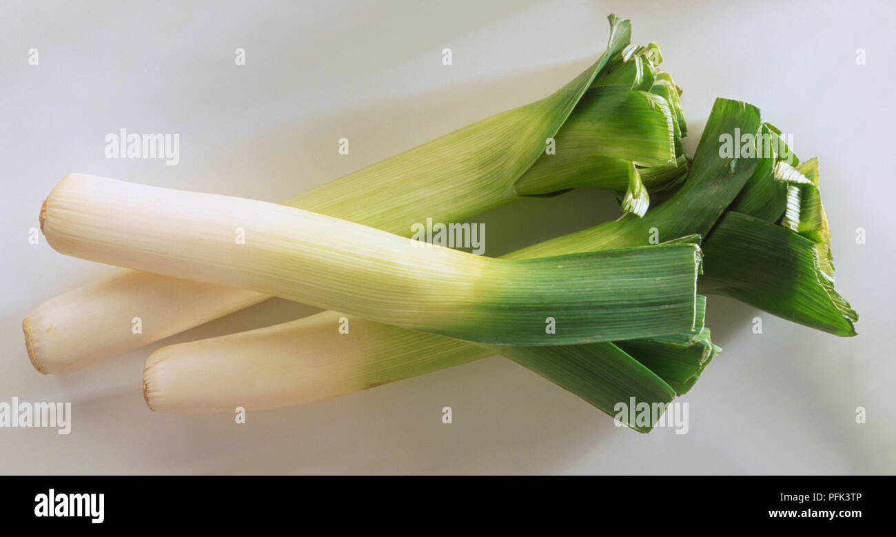 Allium porrum, three stalks of Leek, view from above Stock Photo - Alamy