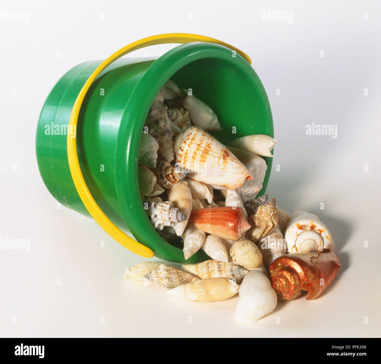 Plastic seashell hi-res stock photography and images - Alamy