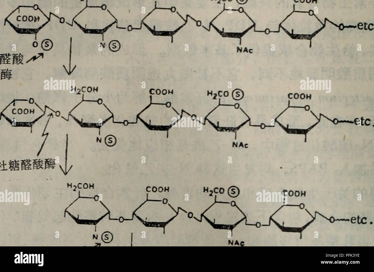 This botanical work outlines the various functions and structures ...