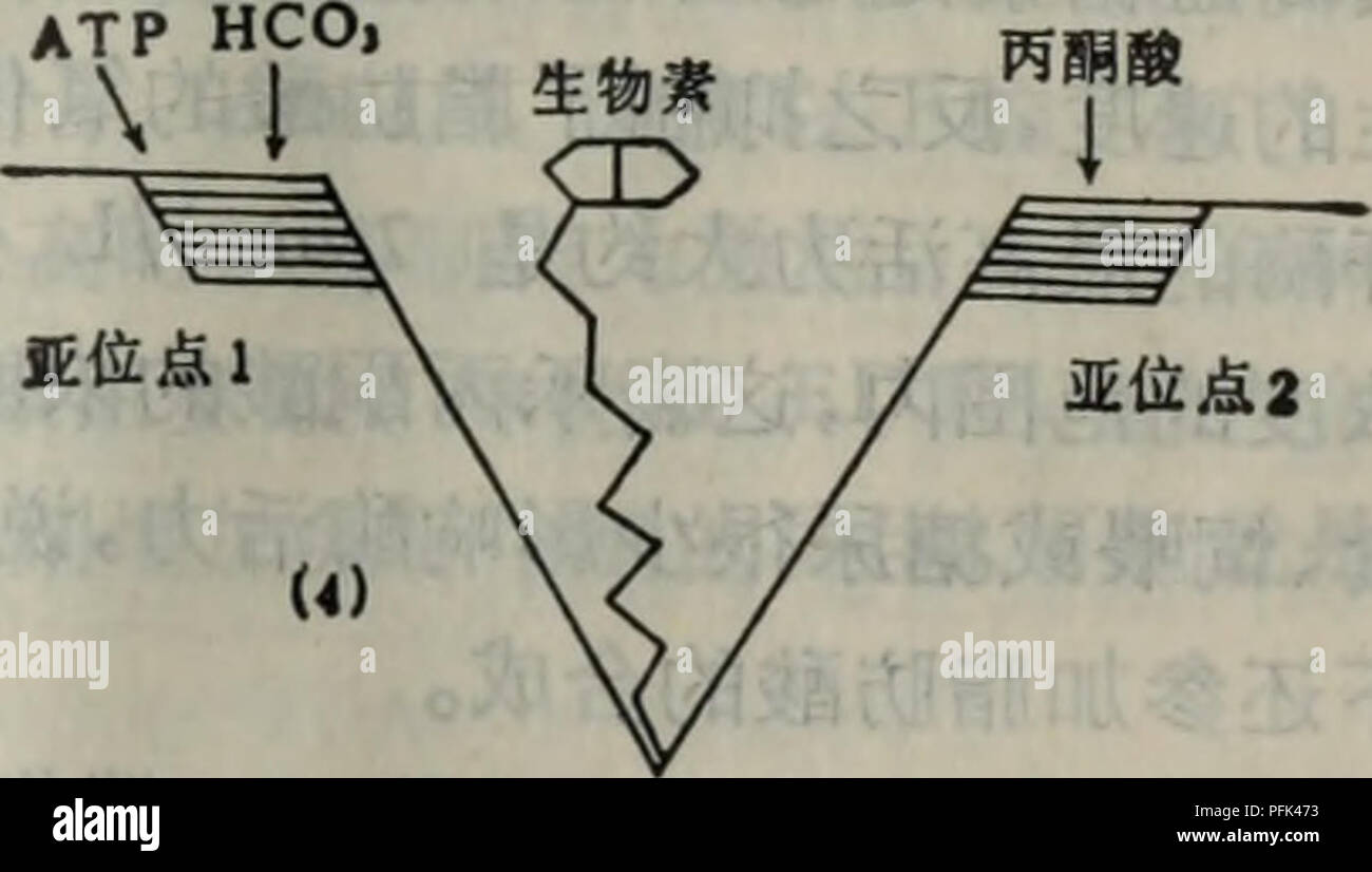 This scientific text discusses botanical processes and the role of ...