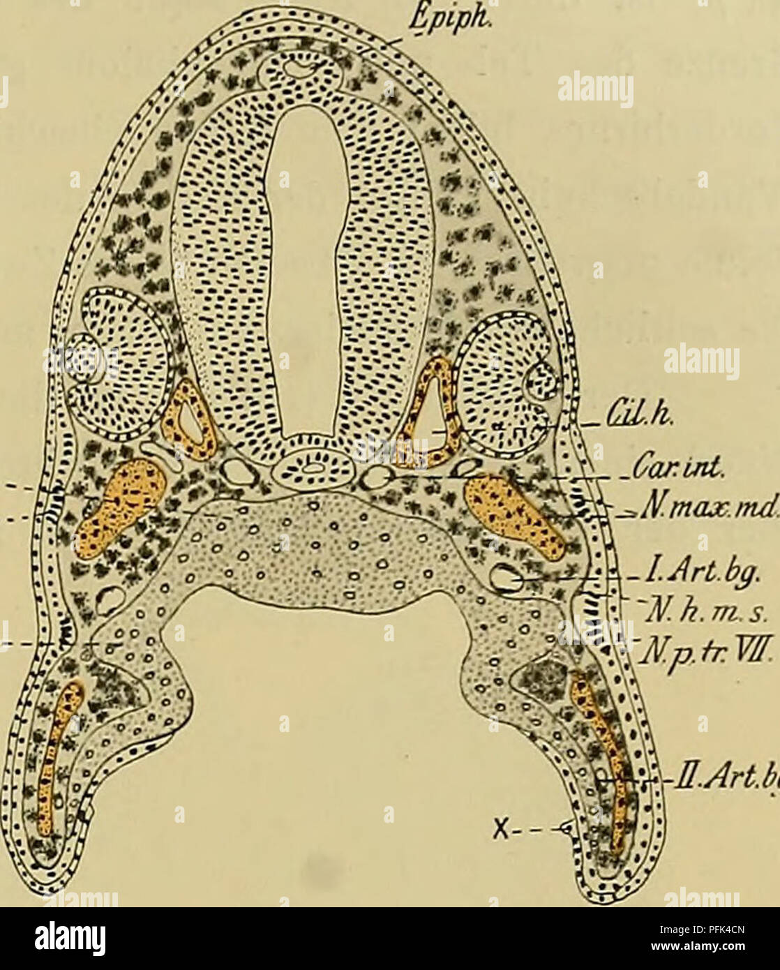 348 60 hi-res stock photography and images - Alamy