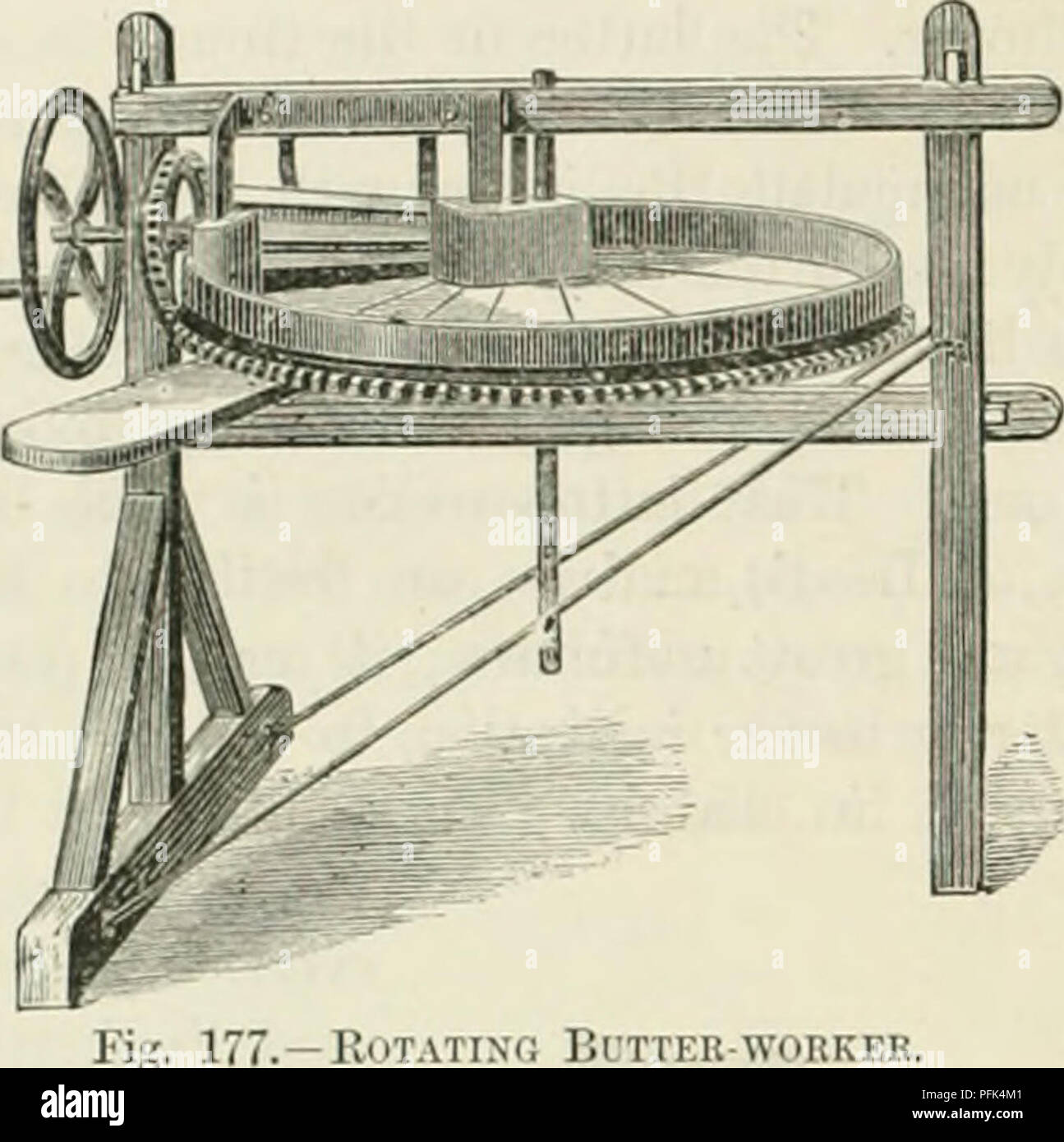 An excerpt from 'Dairy Farming: Being the Theory, Practice, and Methods ...