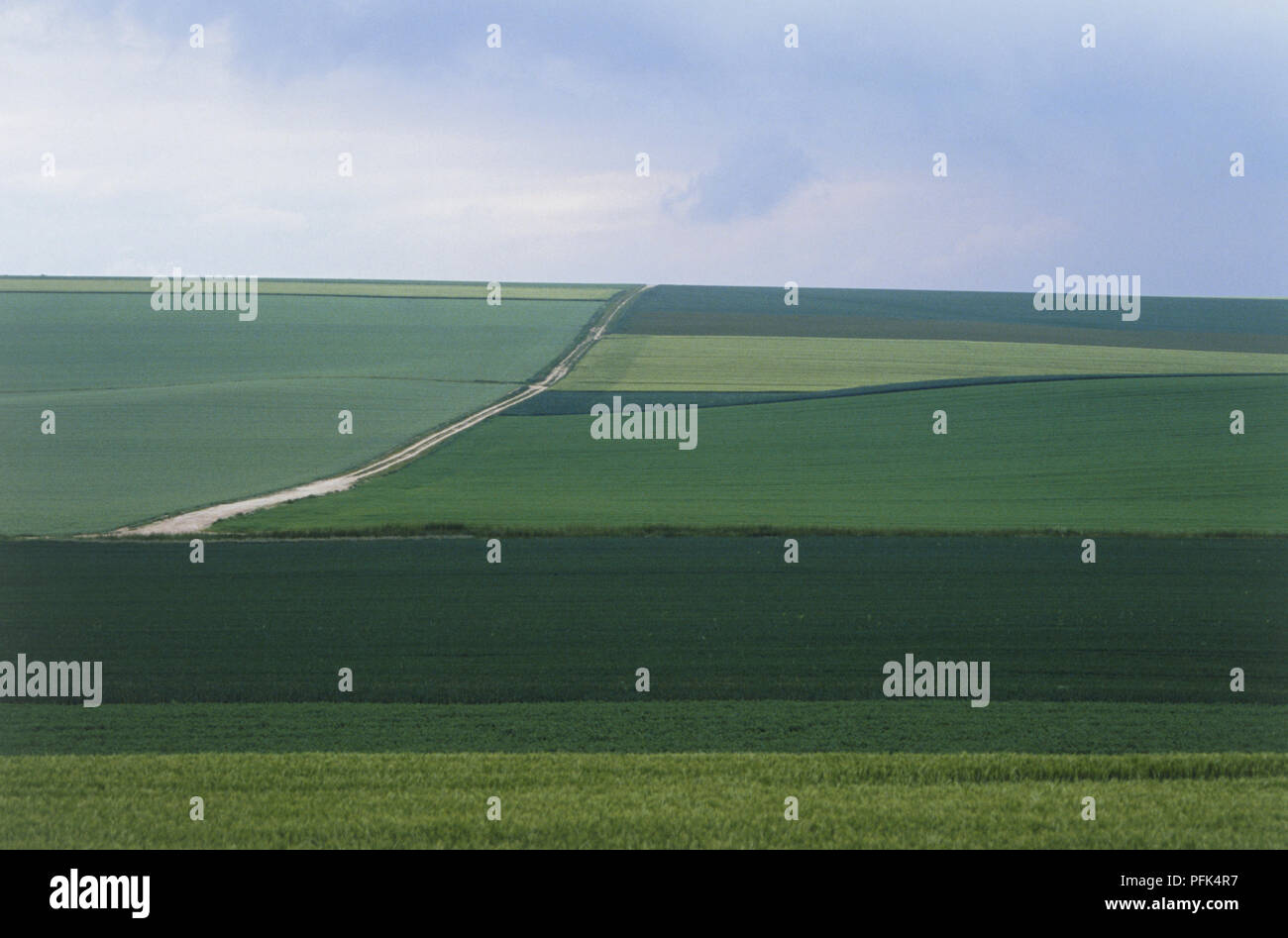 France, Champagne, green fields Stock Photo - Alamy