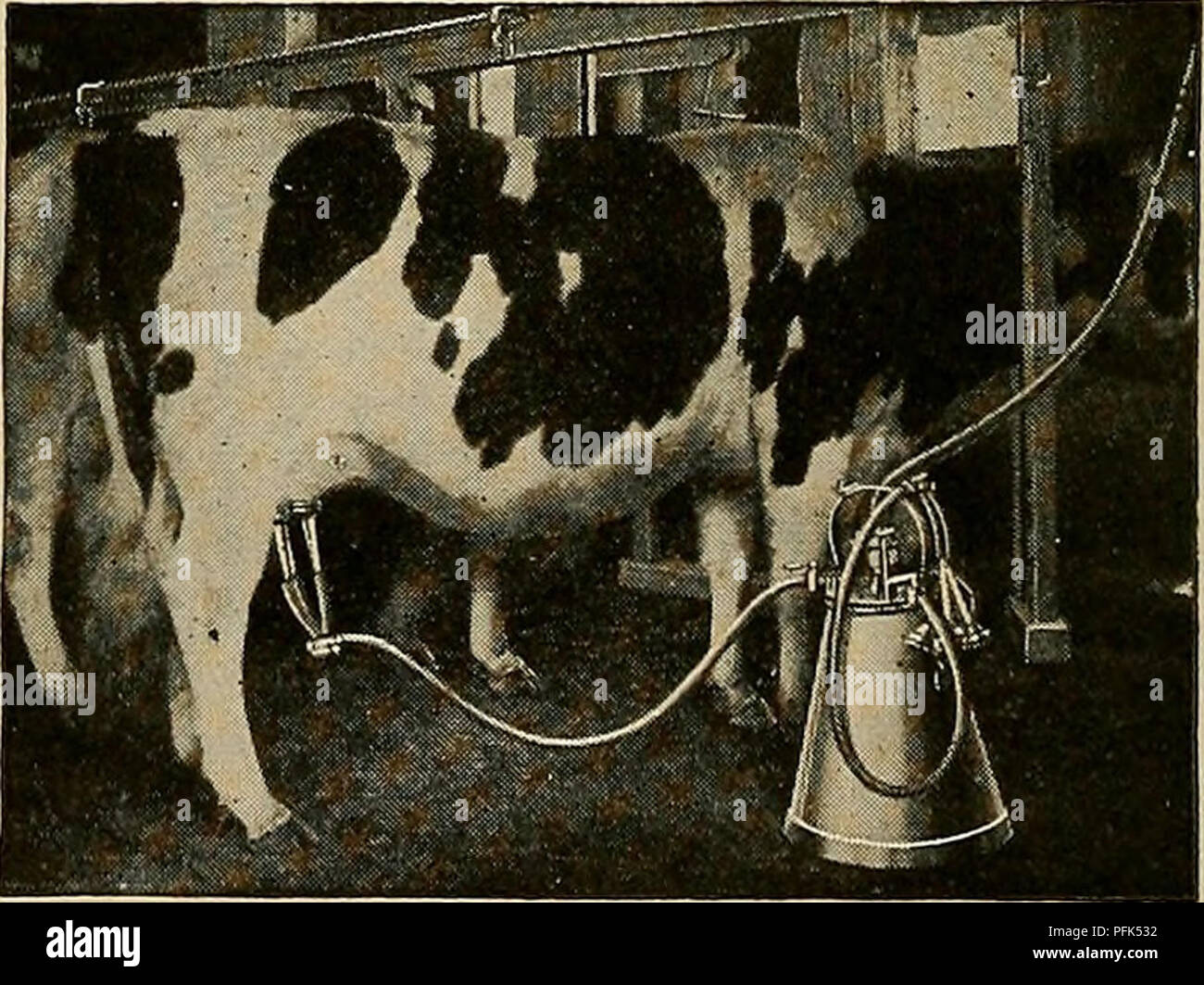 This chapter discusses the role of milking machines in modern dairying ...