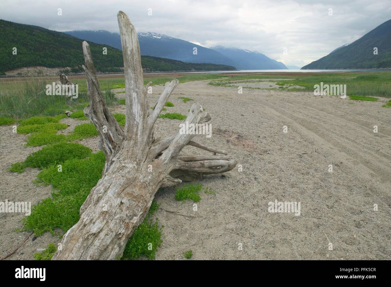 Dyea alaska hi-res stock photography and images - Alamy