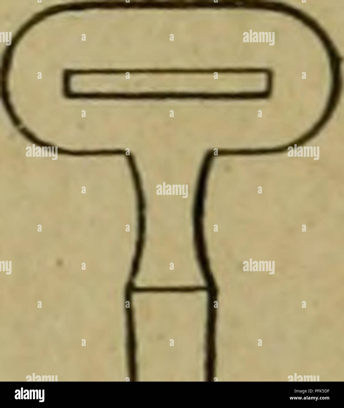 Sphincter muscle hi-res stock photography and images - Alamy