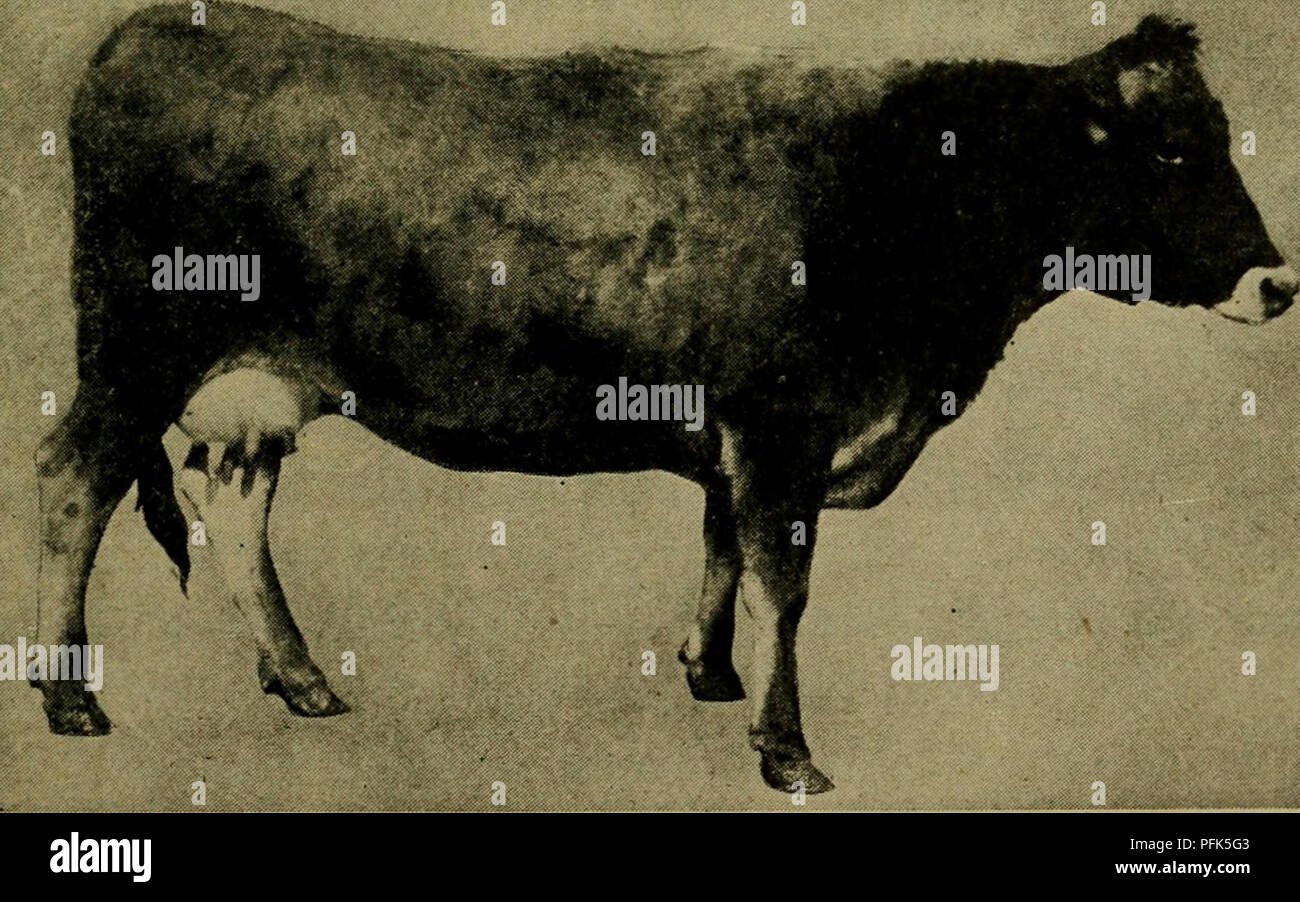 This illustration showcases the variation in milk production of ...