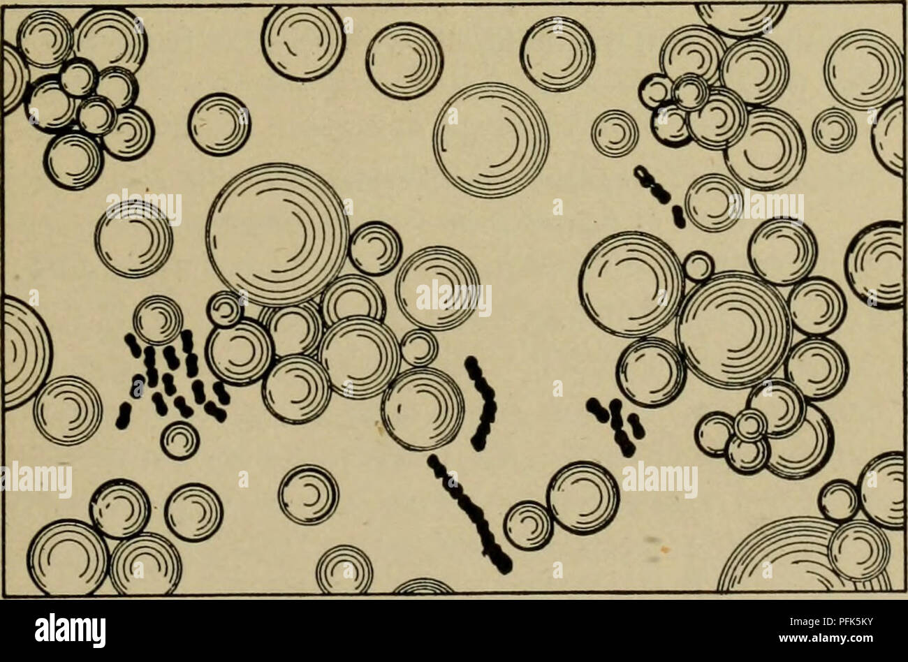 This manual on dairy farming provides a comprehensive look at milk and ...